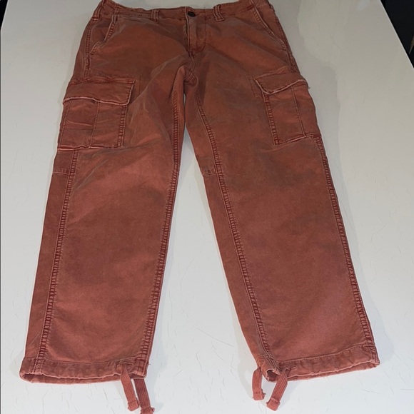 American Eagle Outfitters | Pants | Mens Rust Cargo Pants | Poshmark